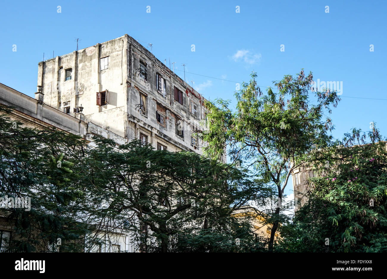 Slum facade with trees and blue sky Stock Photo - Alamy