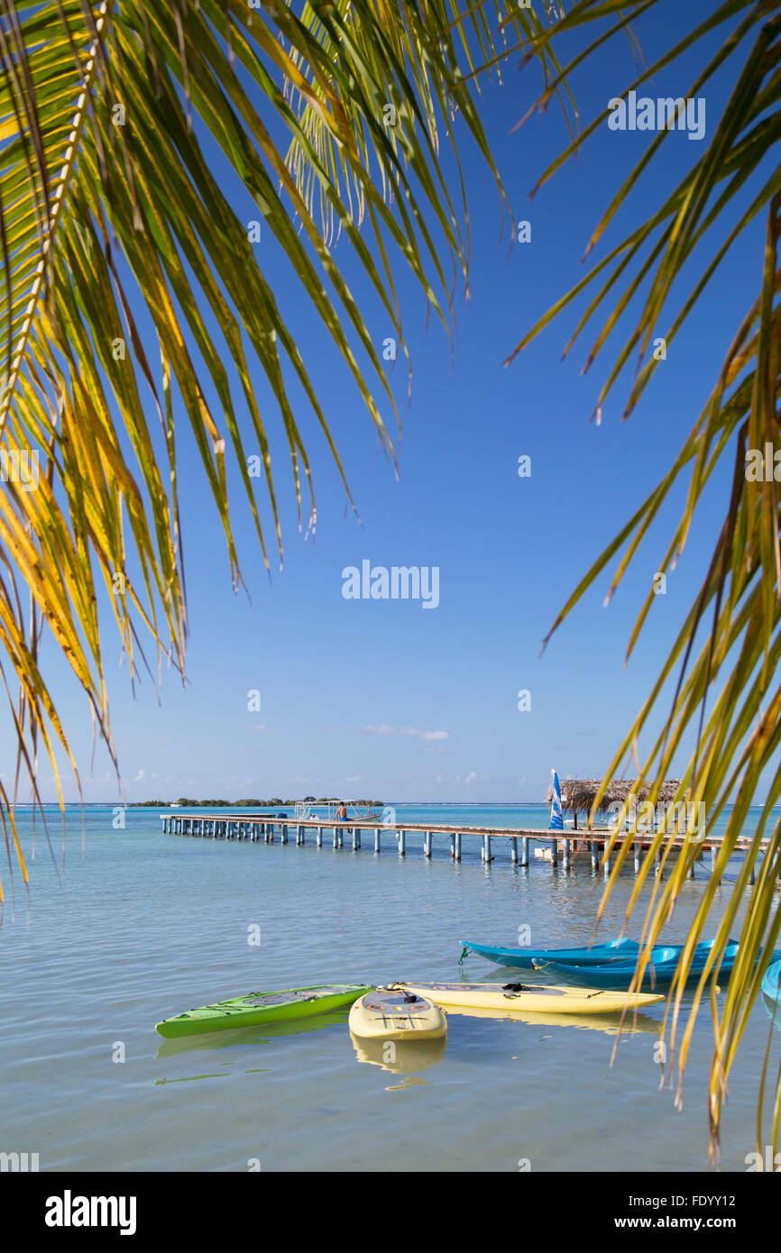 Hauru Point, Mo'orea, Society Islands, French Polynesia Stock Photo - Alamy