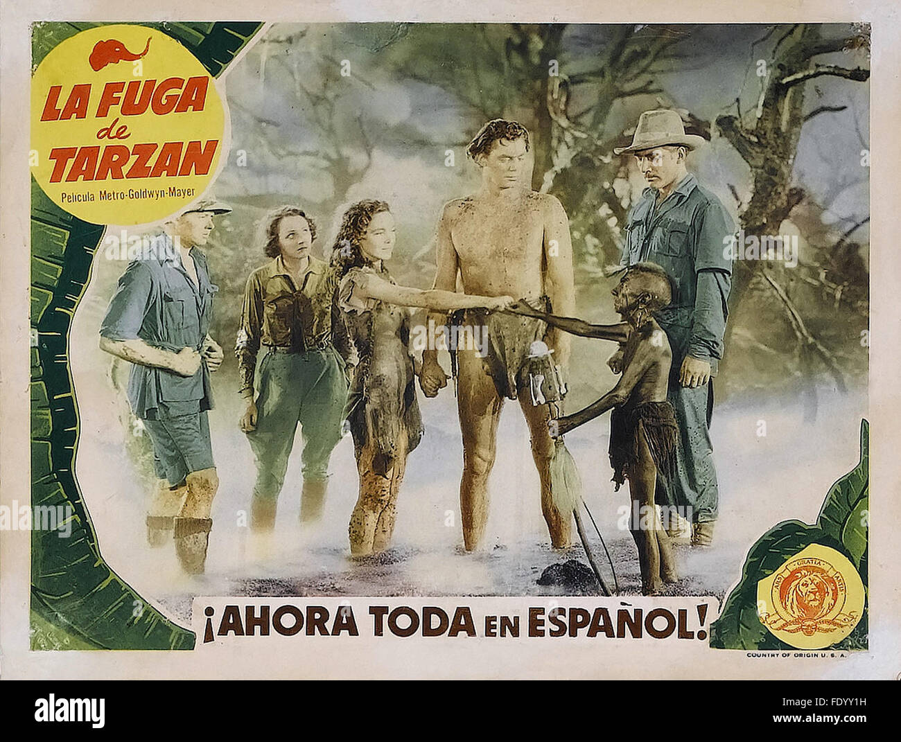 Tarzan Escapes - Spanish Movie Poster Stock Photo - Alamy