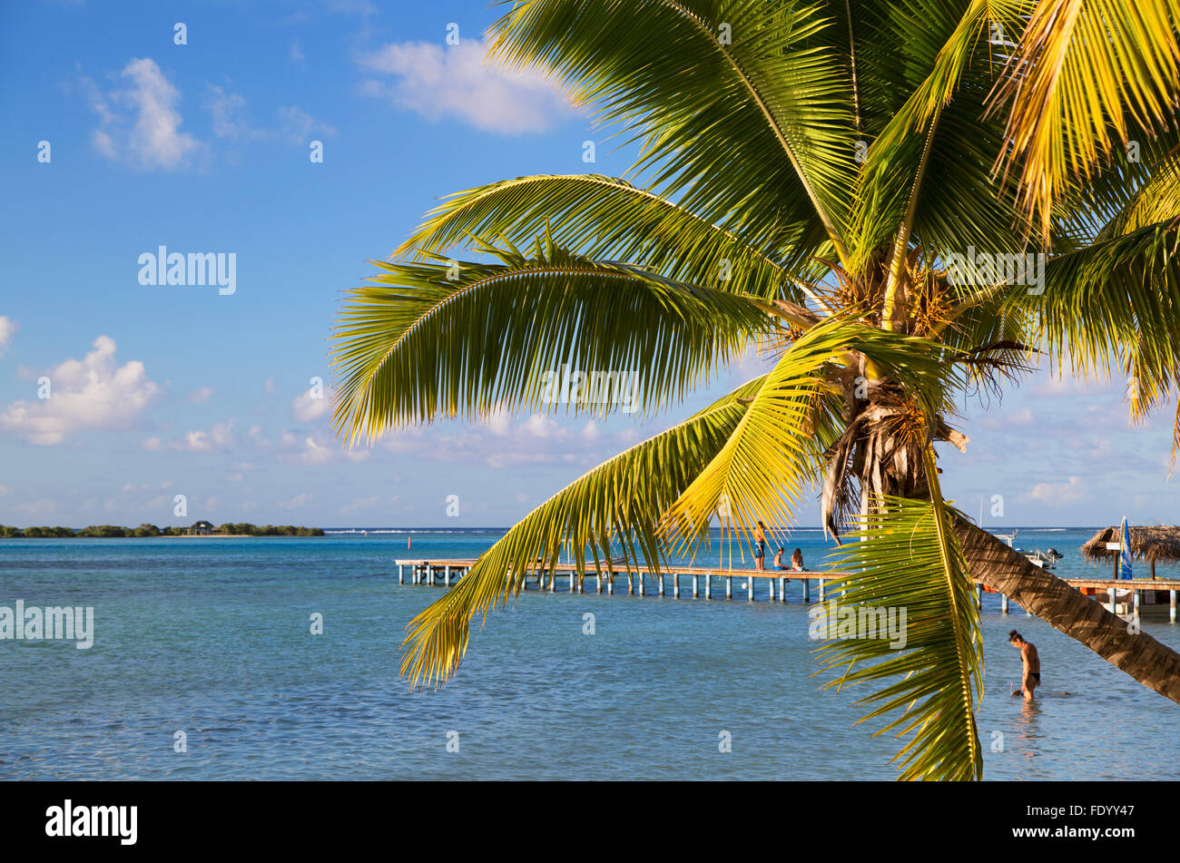 Hauru Point, Mo'orea, Society Islands, French Polynesia Stock Photo - Alamy