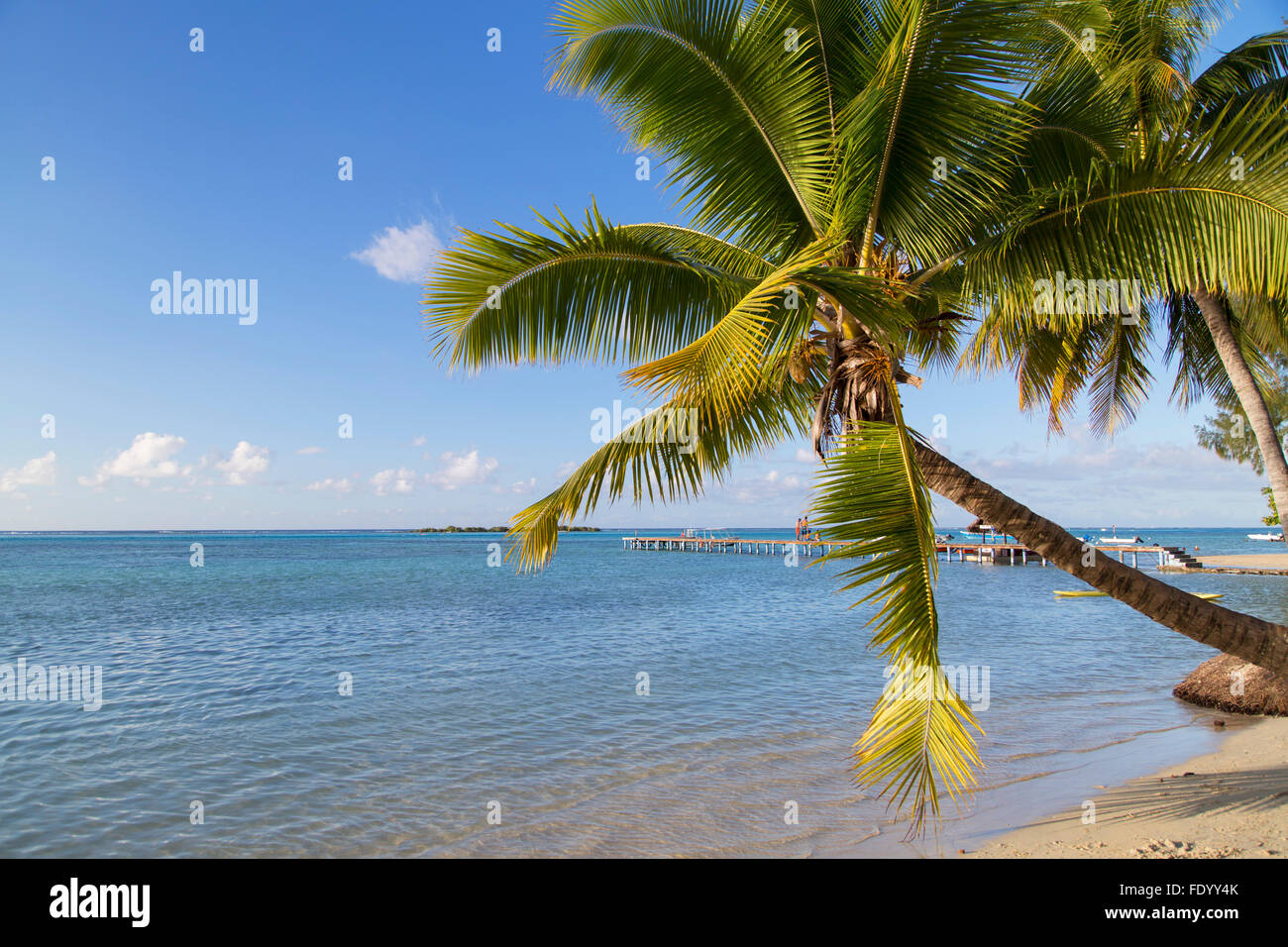 Hauru point moorea hi-res stock photography and images - Alamy