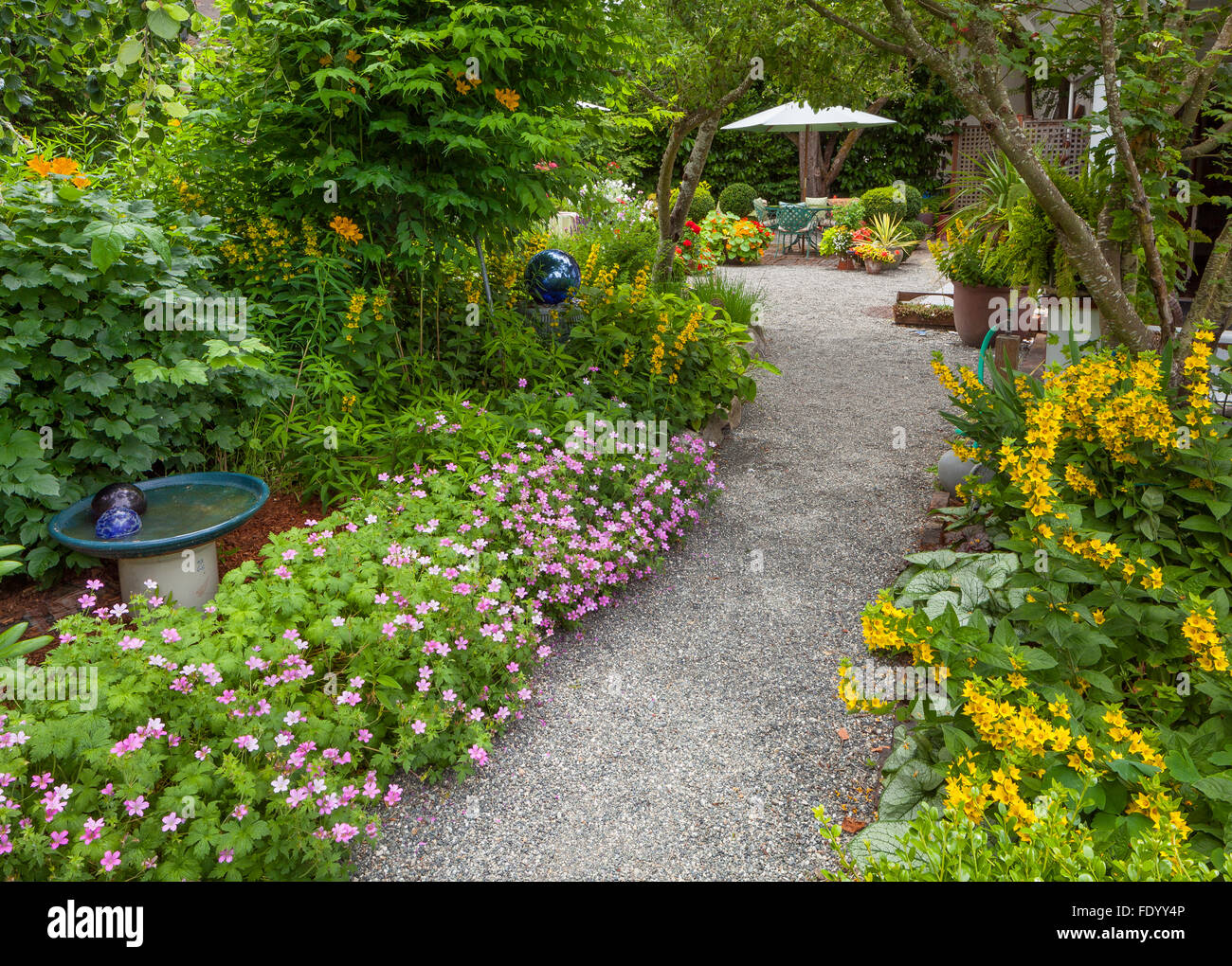 Island bed in a garden hi-res stock photography and images - Alamy