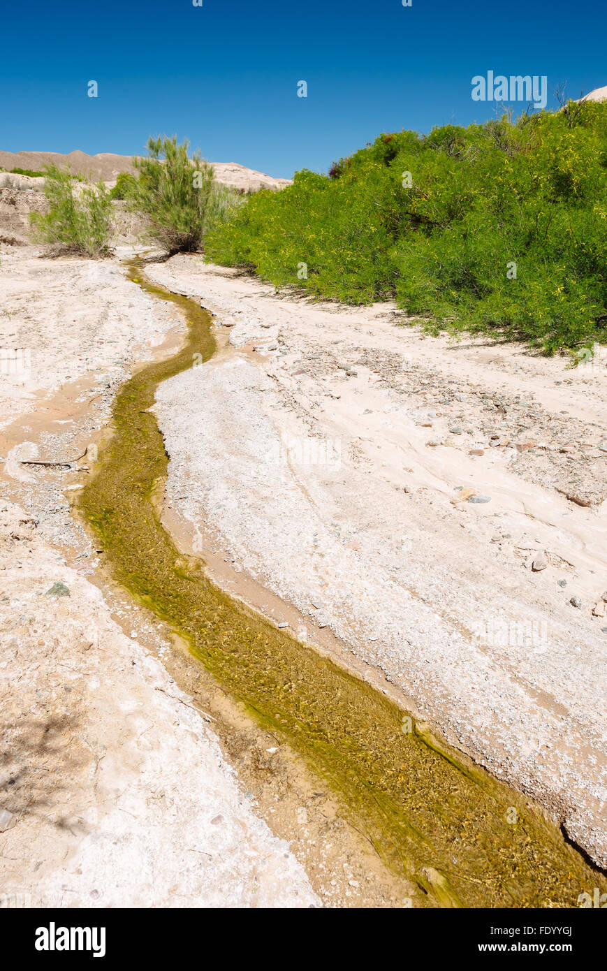Desert scenery along the Amargosa River Trail near Tecopa, California ...