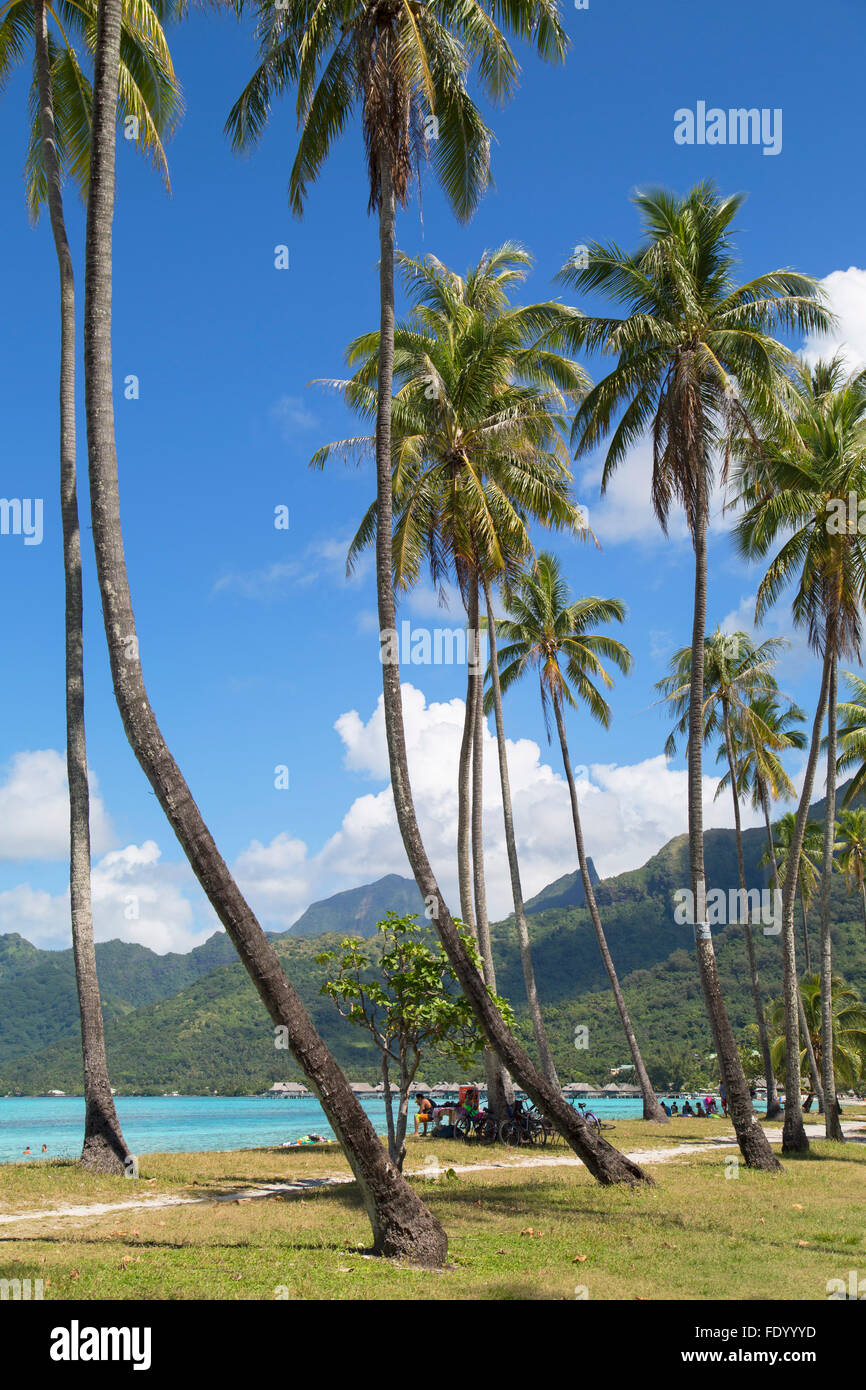 Moorea island temae beach hi-res stock photography and images - Alamy