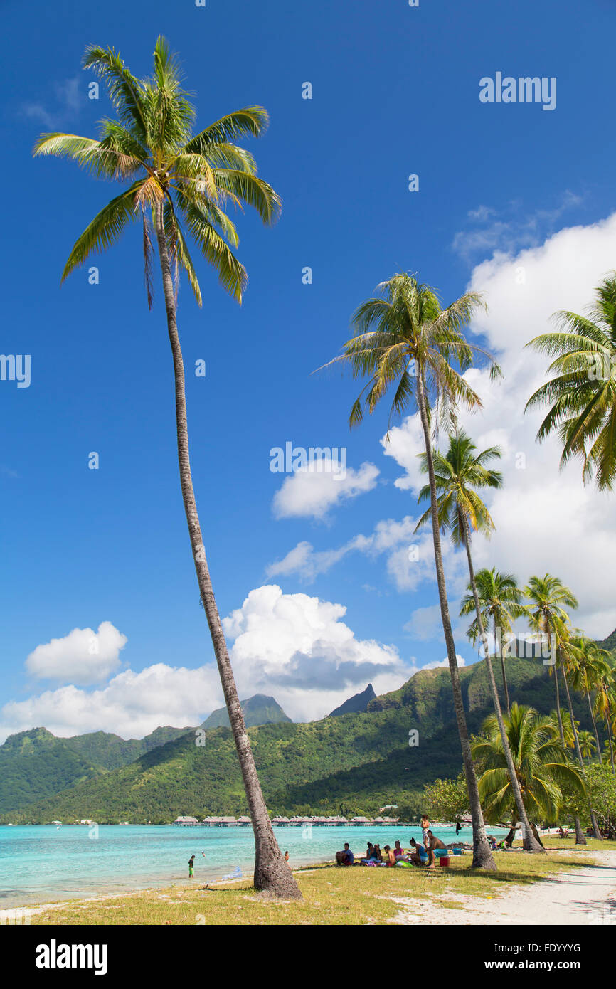 Temae Beach, Moorea, Society Islands, French Polynesia Stock Photo - Alamy