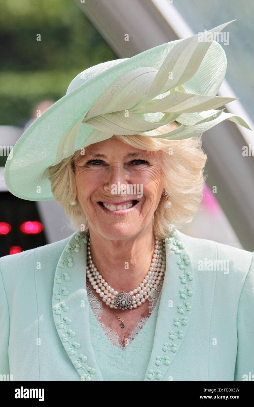 Camilla royalty hi-res stock photography and images - Alamy