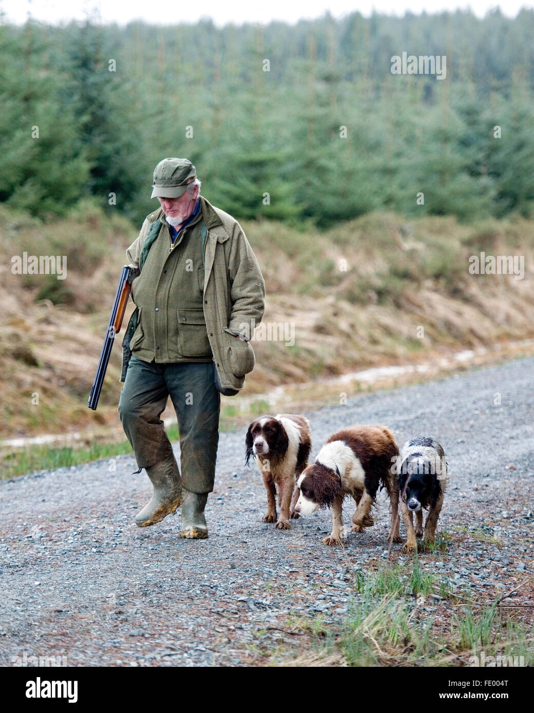 Gamekeeper and dogs hi-res stock photography and images - Alamy