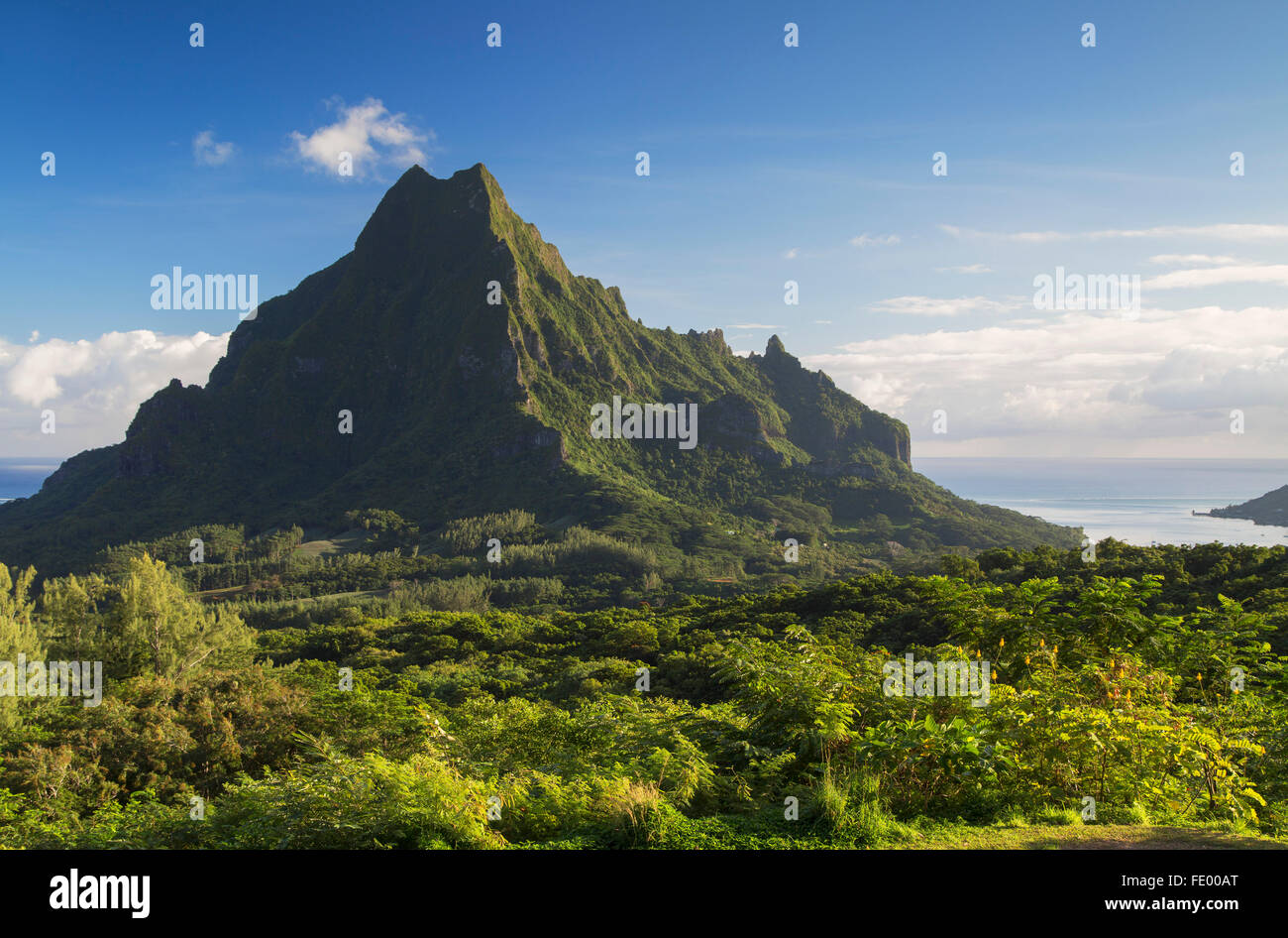 Mount Rotui, Mo'orea, Society Islands, French Polynesia Stock Photo - Alamy