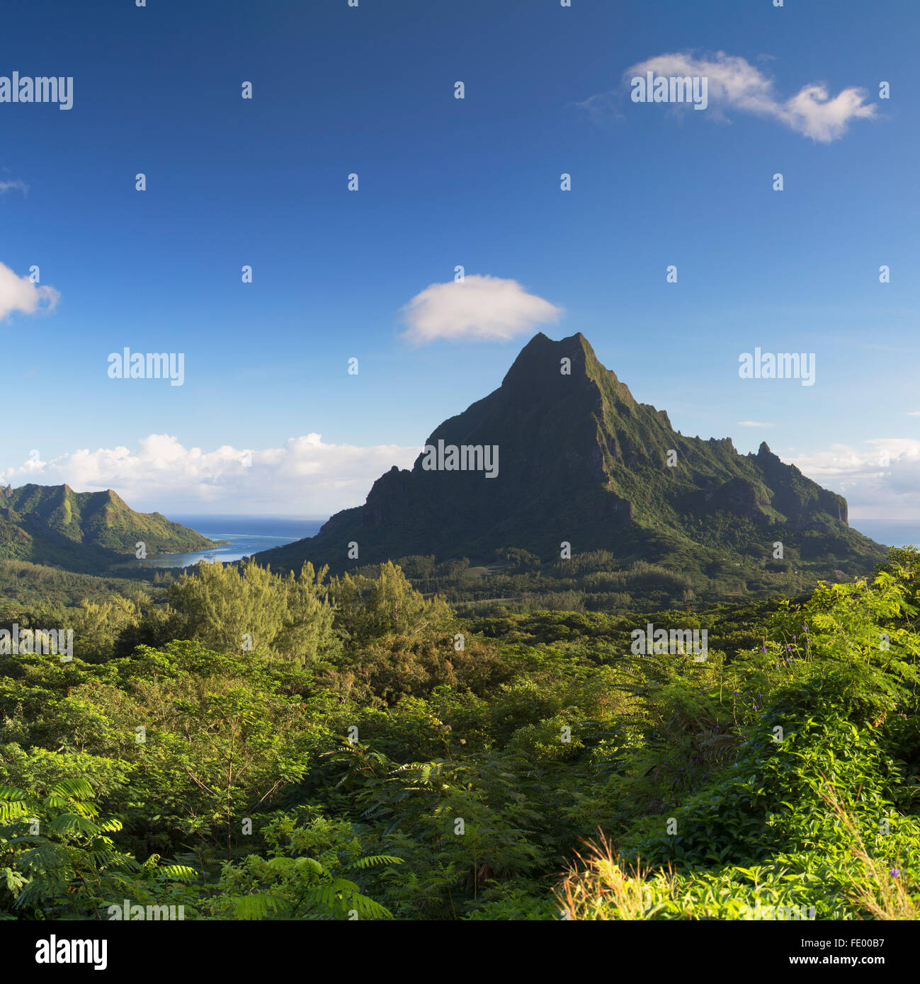 Mt rotui hi-res stock photography and images - Alamy