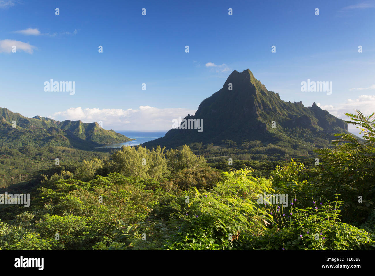 Mt rotui hi-res stock photography and images - Alamy