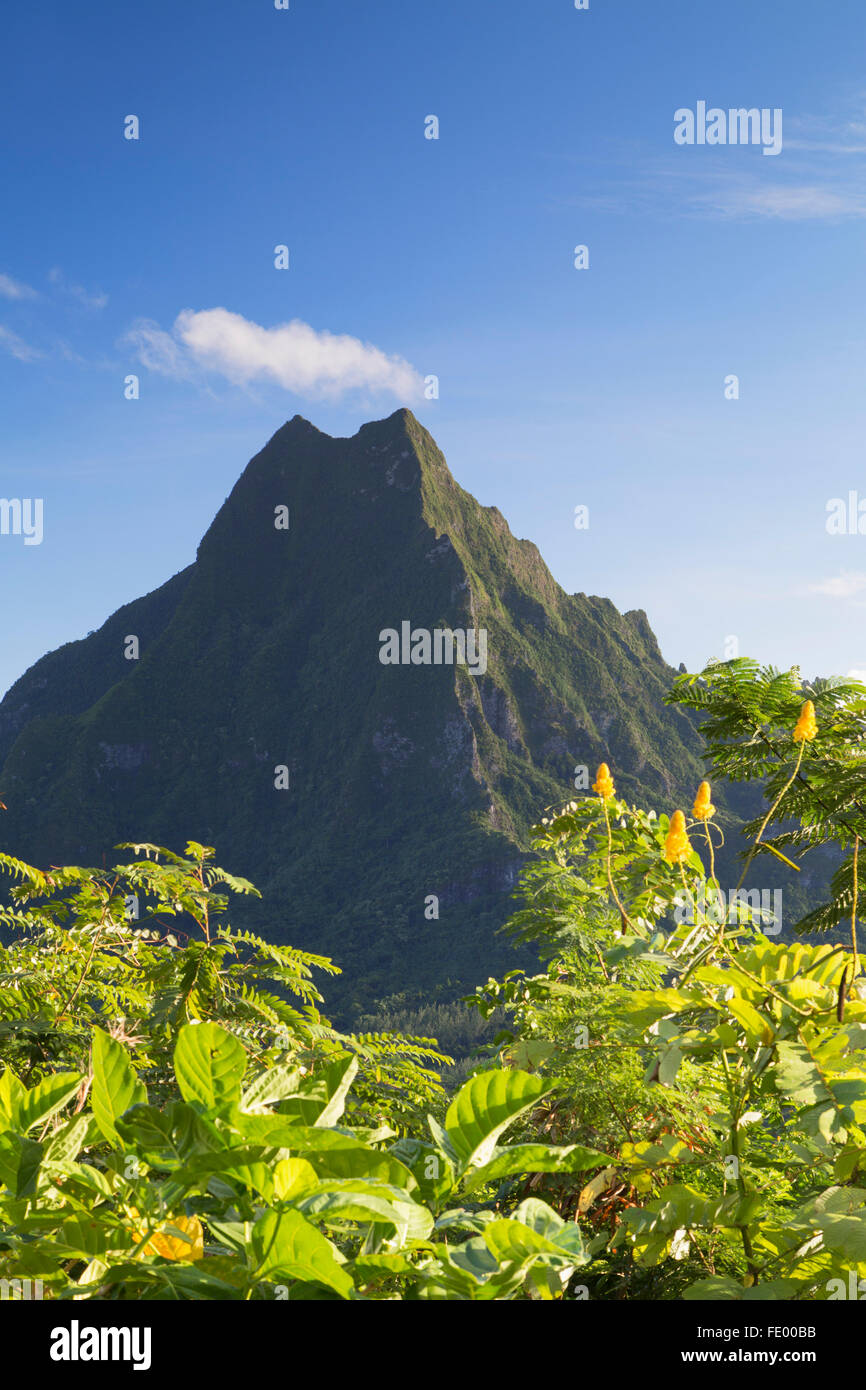 Moorea islands hi-res stock photography and images - Alamy