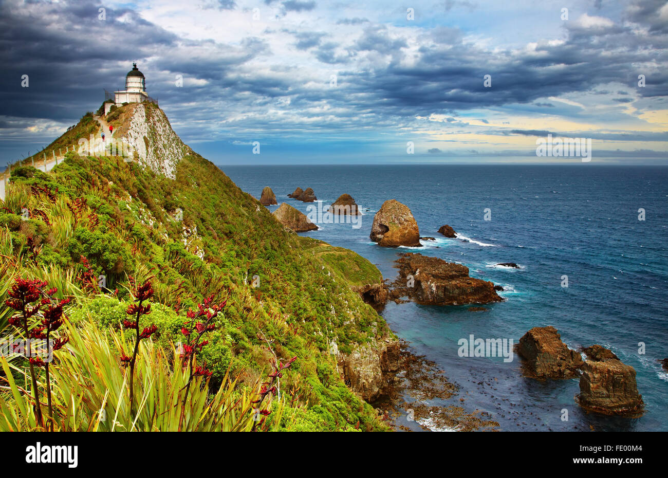 Nugget Point Lighthouse, New Zealand Stock Photo - Alamy