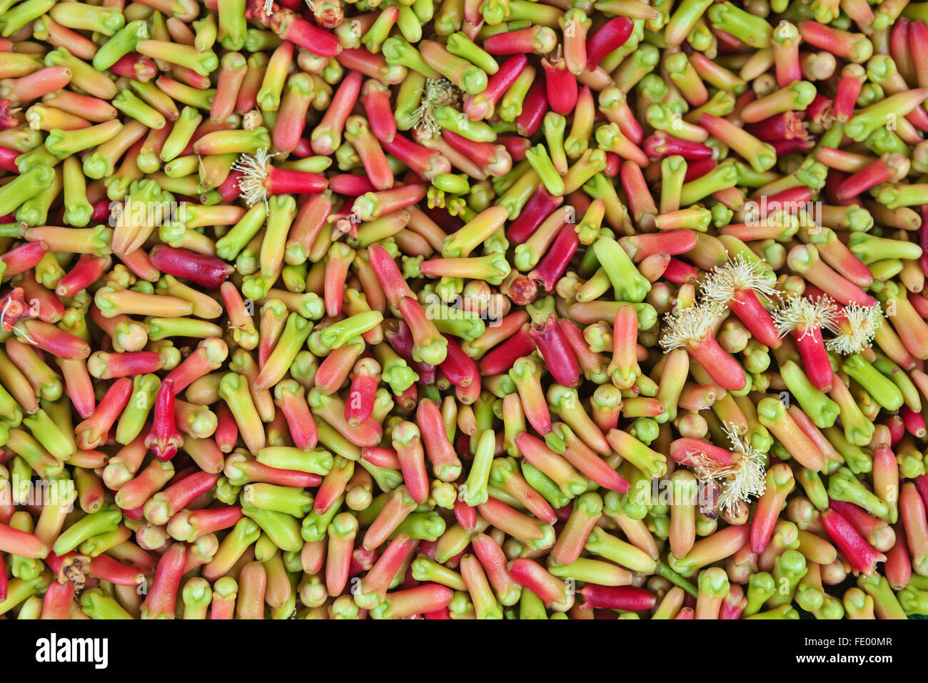 Plant anesthetic hi-res stock photography and images - Alamy
