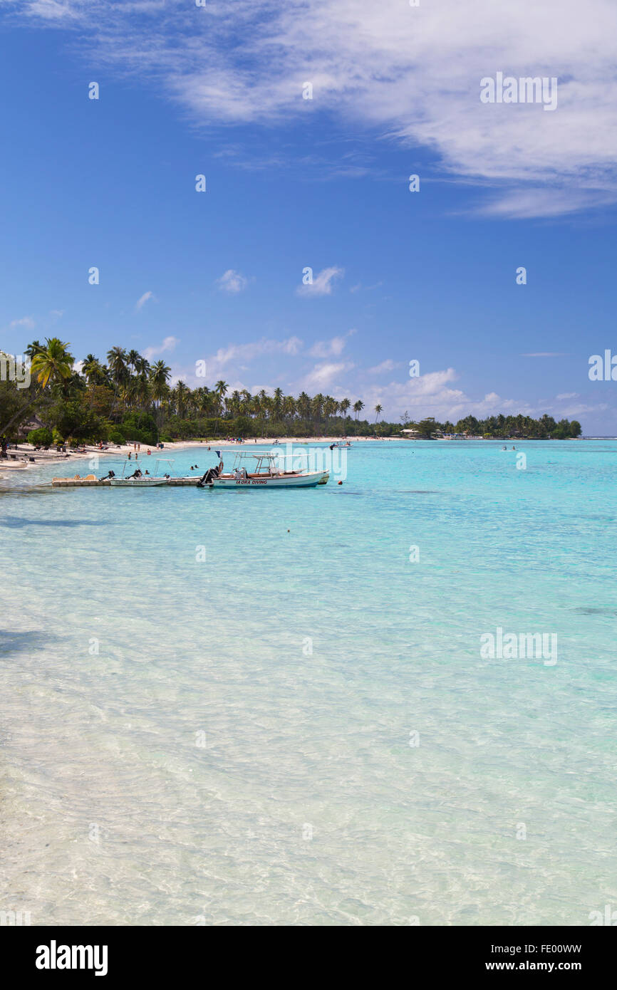 Temae Beach, Moorea, Society Islands, French Polynesia Stock Photo - Alamy