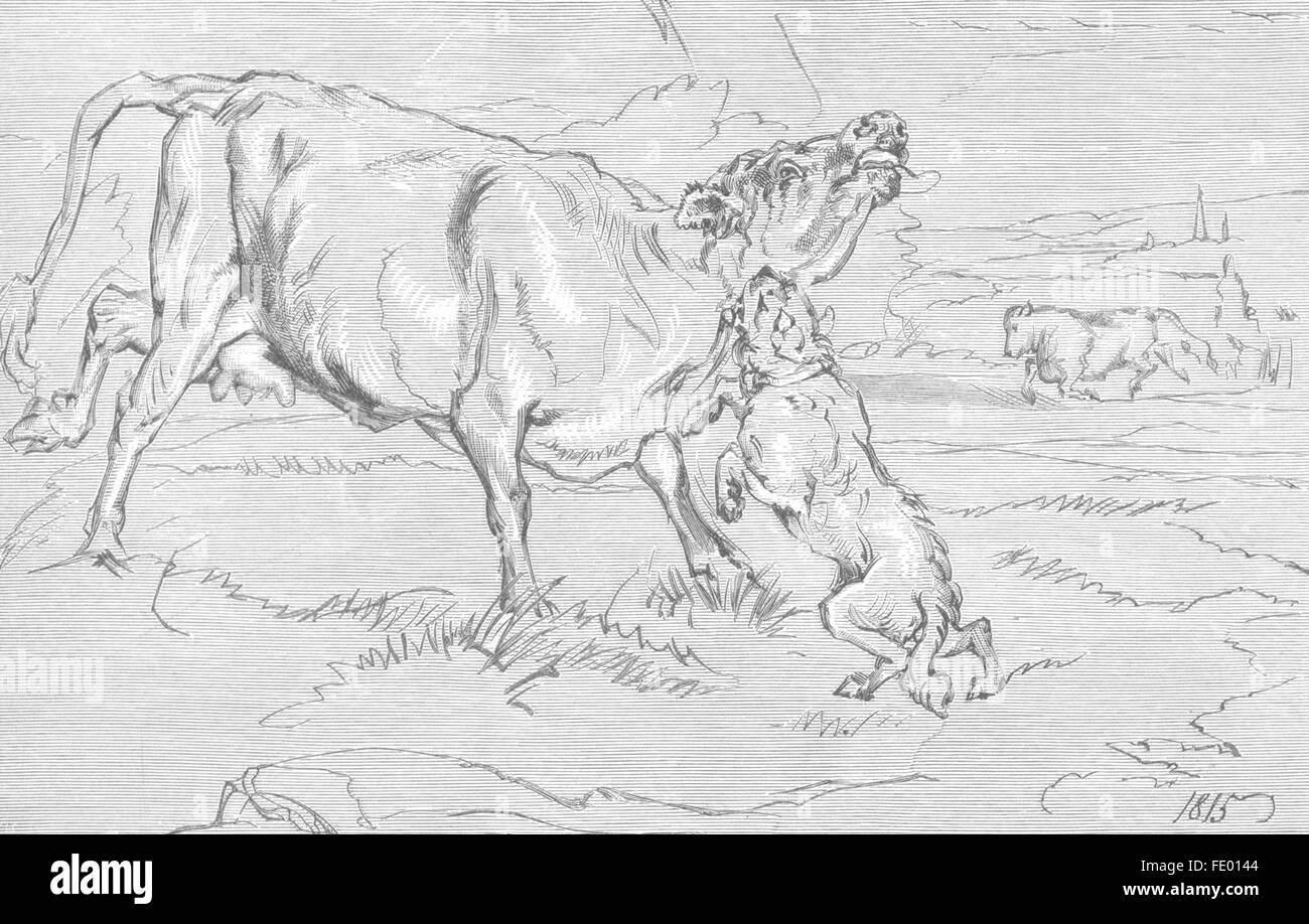 Dog attack painting hi-res stock photography and images - Alamy