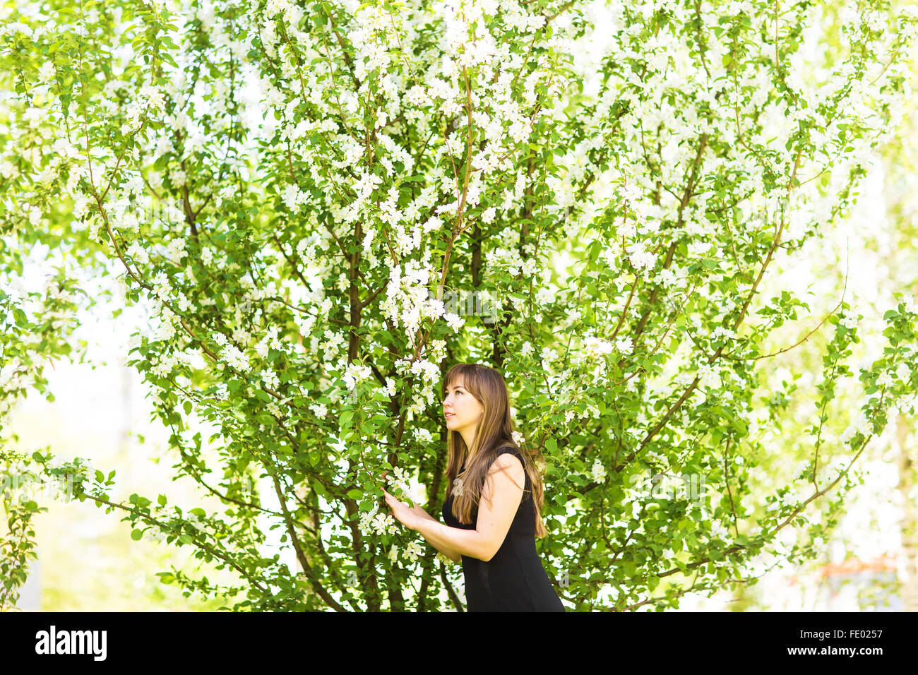 Beautiful Spring Girl with flowers Stock Photo - Alamy