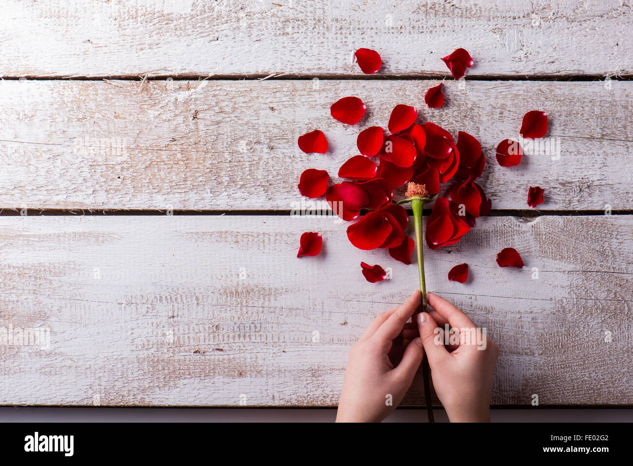 Love composition. Studio shot Stock Photo - Alamy