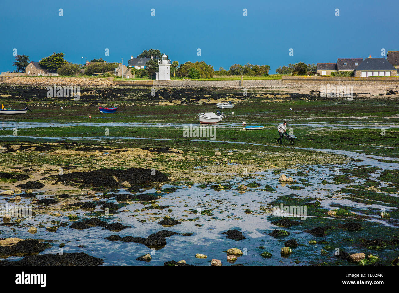 France, Normandy, Barfleur, view of the harbor at low tide Stock Photo ...