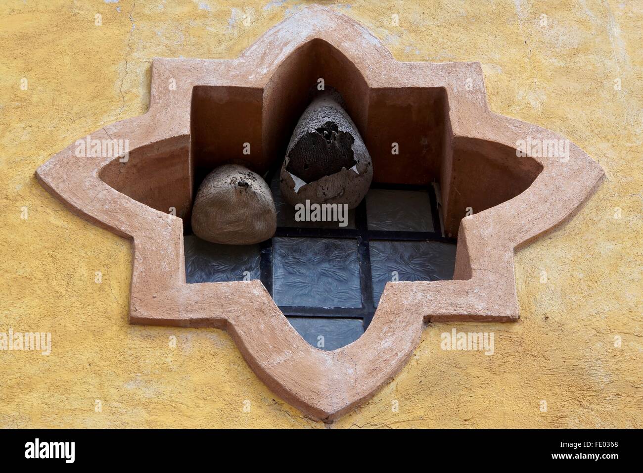 Mexican paper wasp nests inside a window arch Stock Photo - Alamy