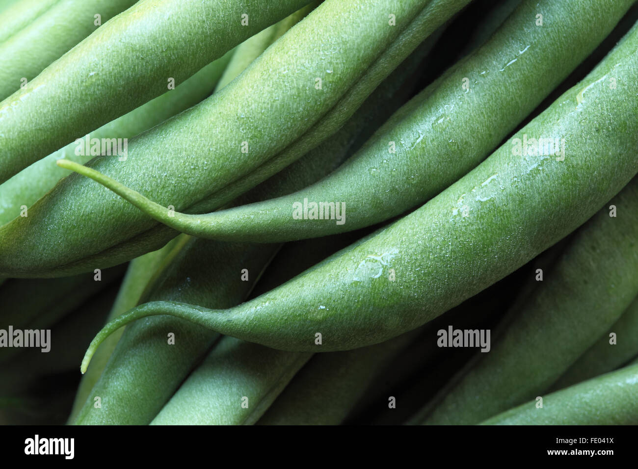 String bean hi-res stock photography and images - Alamy