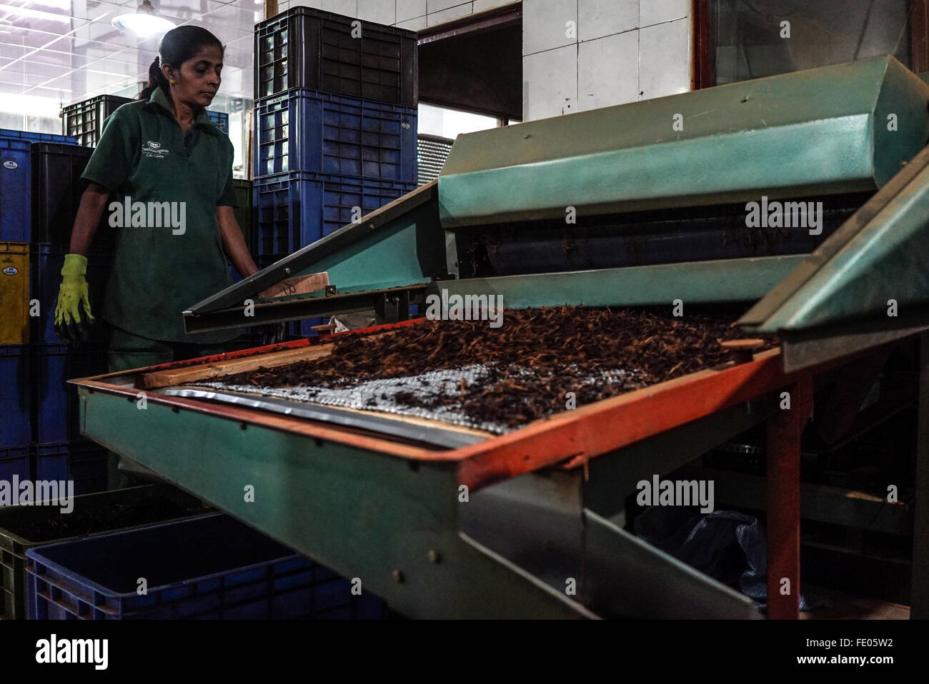 Tea Factory in Nuwara Eliya District, Sri Lanka - Tea is the most ...