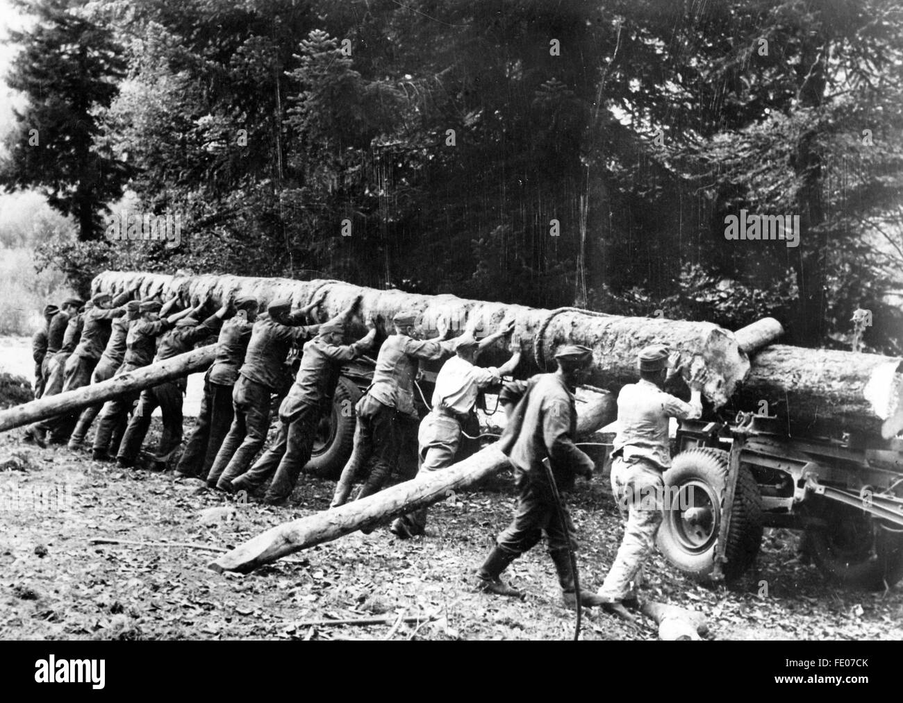 The Nazi propaganda picture shows the loading of tree trunks for the ...