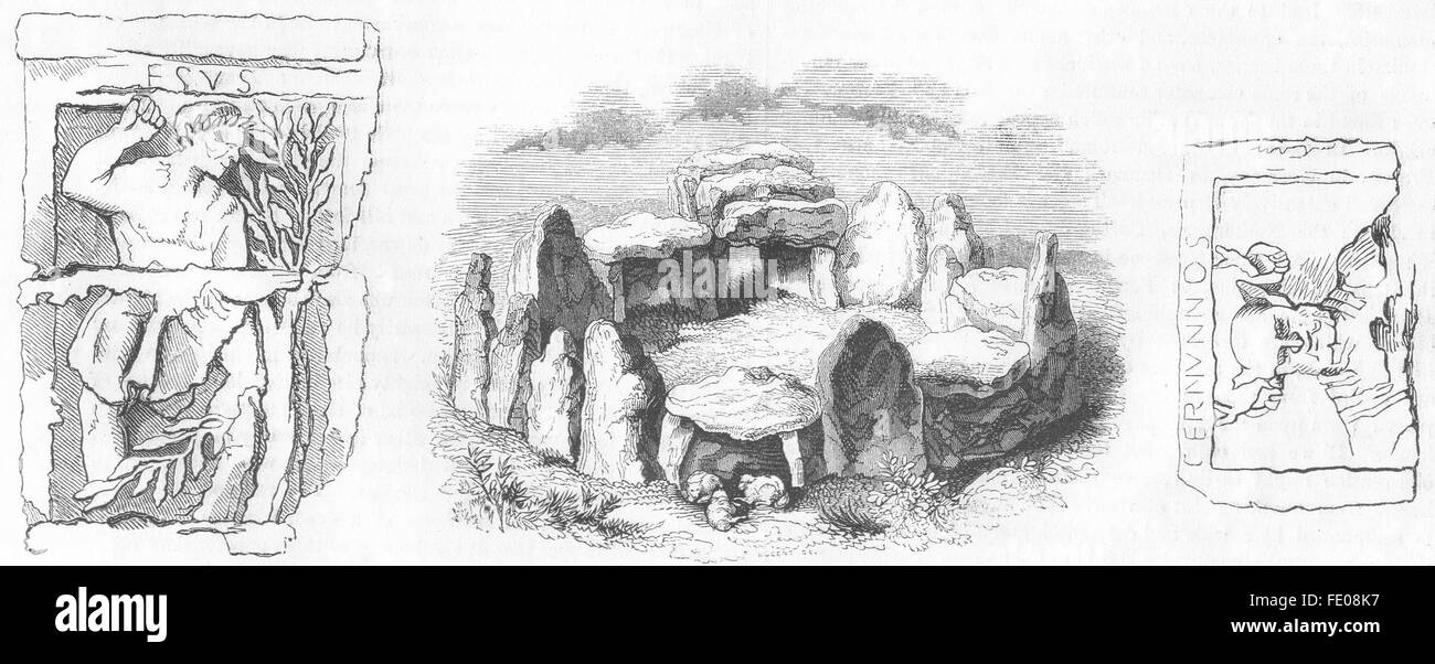 Gaulish hi-res stock photography and images - Alamy