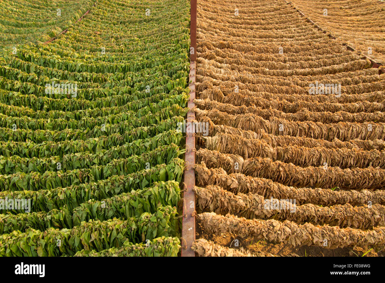 Drying out hi-res stock photography and images - Alamy