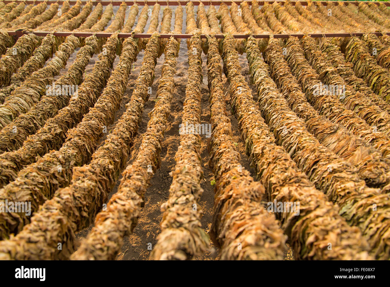 Drying out hi-res stock photography and images - Alamy