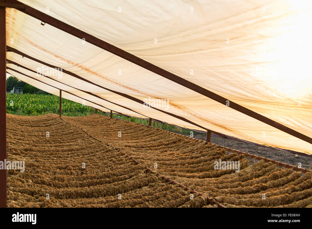 Drying out hi-res stock photography and images - Alamy