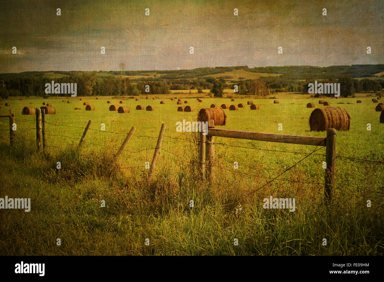 Rural alberta hi-res stock photography and images - Alamy