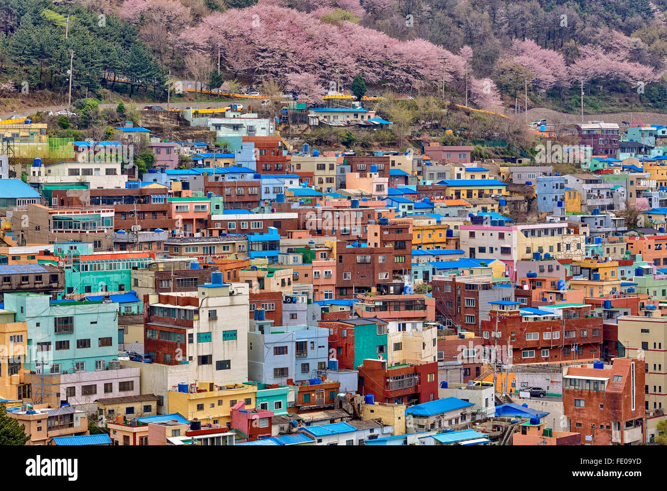 Gamcheon Culture Village, Busan, South Korea Stock Photo - Alamy