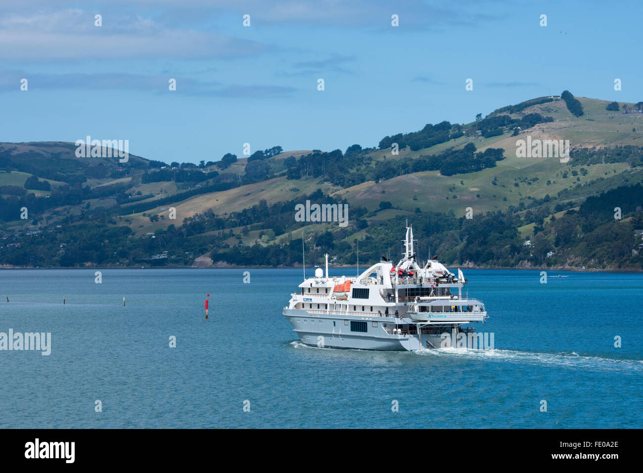 New Zealand, South Island, Dunedin, Otago Peninsula, near Port Chalmers ...