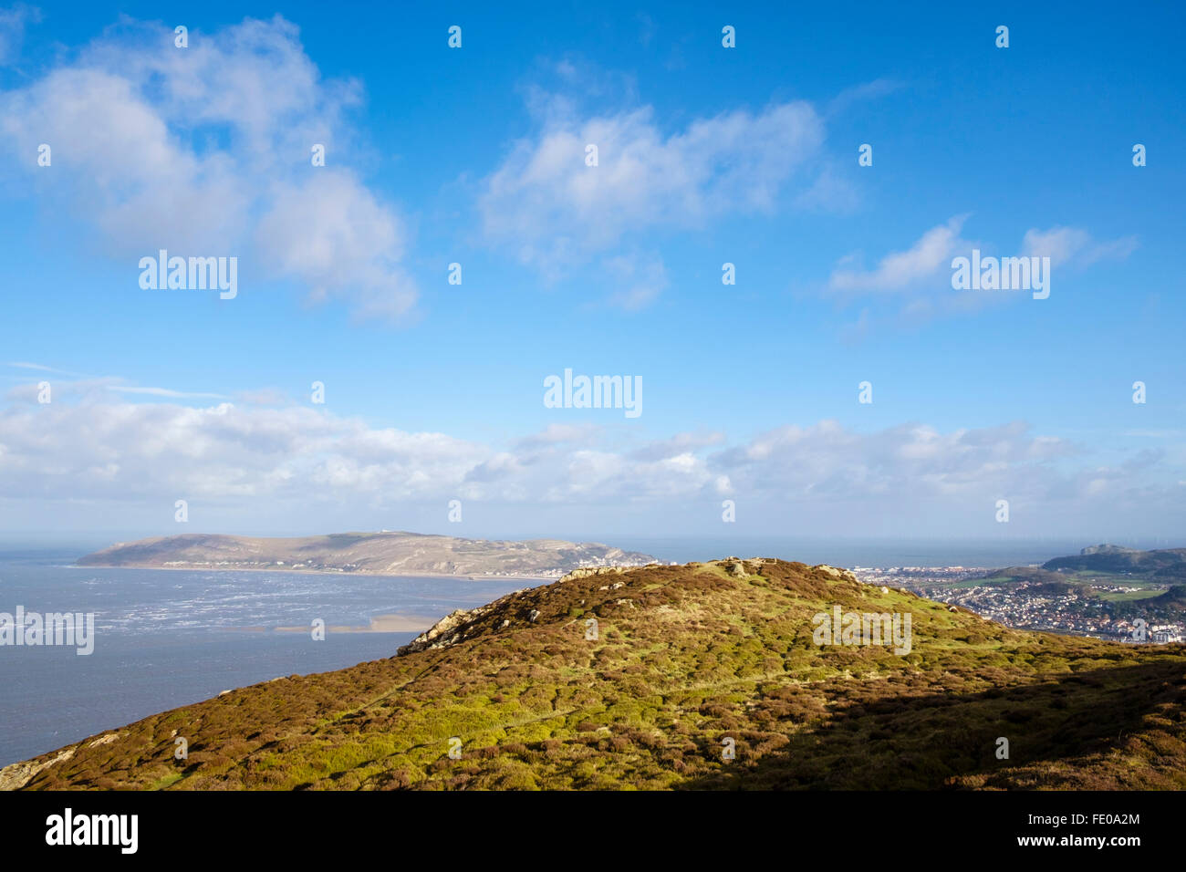 The great orme country park hi-res stock photography and images - Alamy