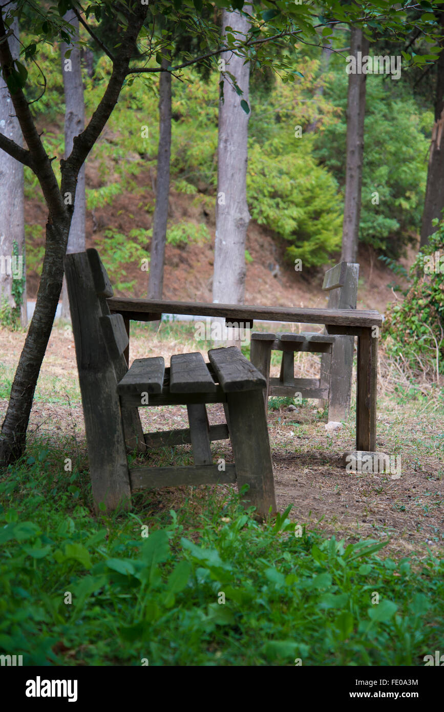 Bench in a forest in autumn Stock Photo - Alamy
