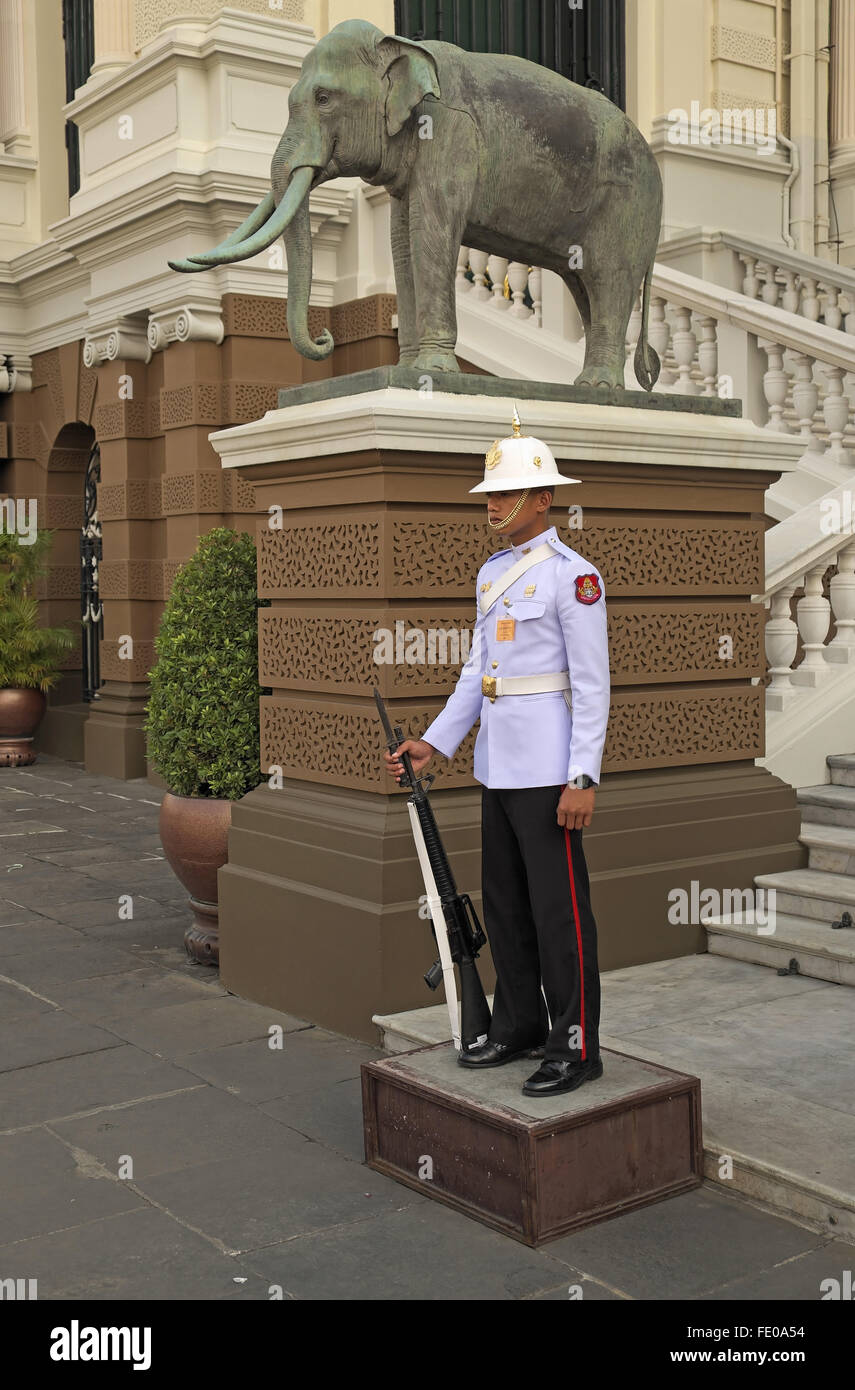 Elephant guard rifle hi-res stock photography and images - Alamy