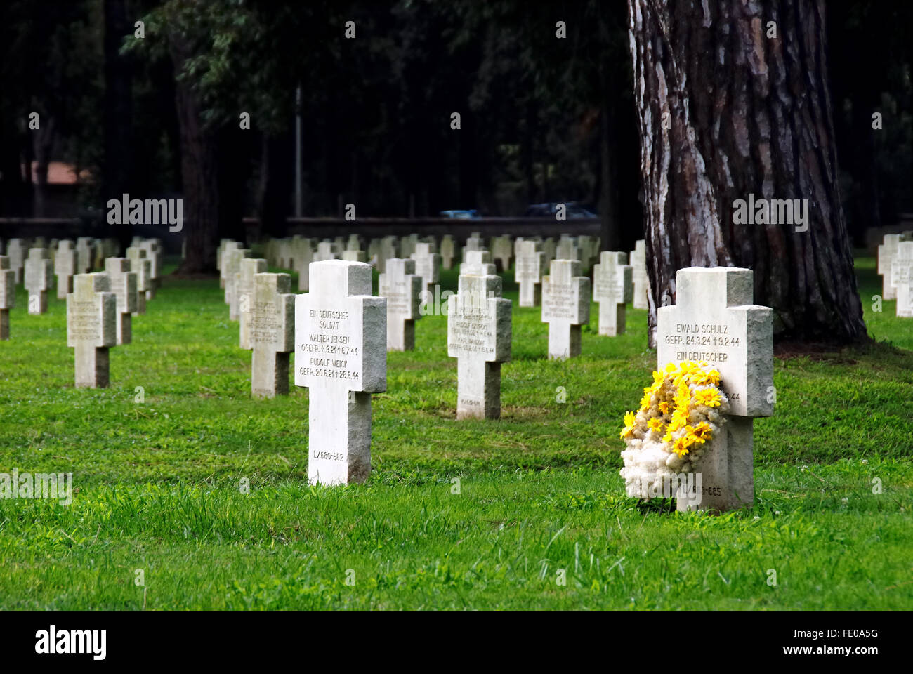 Pomezia German War Cemetery. The 27420 soldiers of Wehrmacht who fell ...