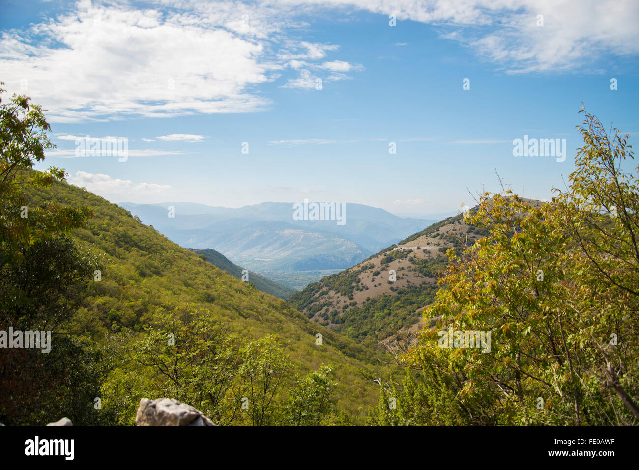 Relaxing forest hike hi-res stock photography and images - Alamy