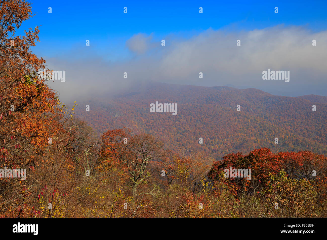 Thorofare overlook hi-res stock photography and images - Alamy