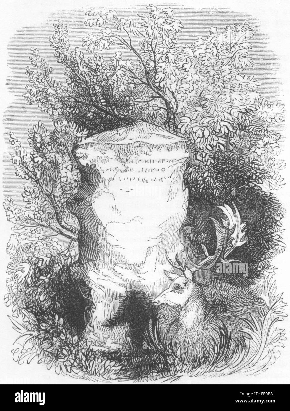 NEW FOREST: Stone, oak tree, Walter Tyrrel arrow, antique print 1845 ...