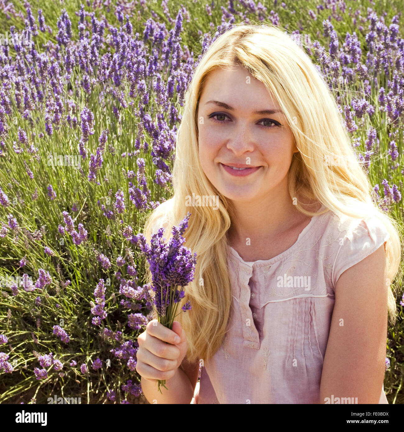 Woman posing in lavender field Stock Photo - Alamy