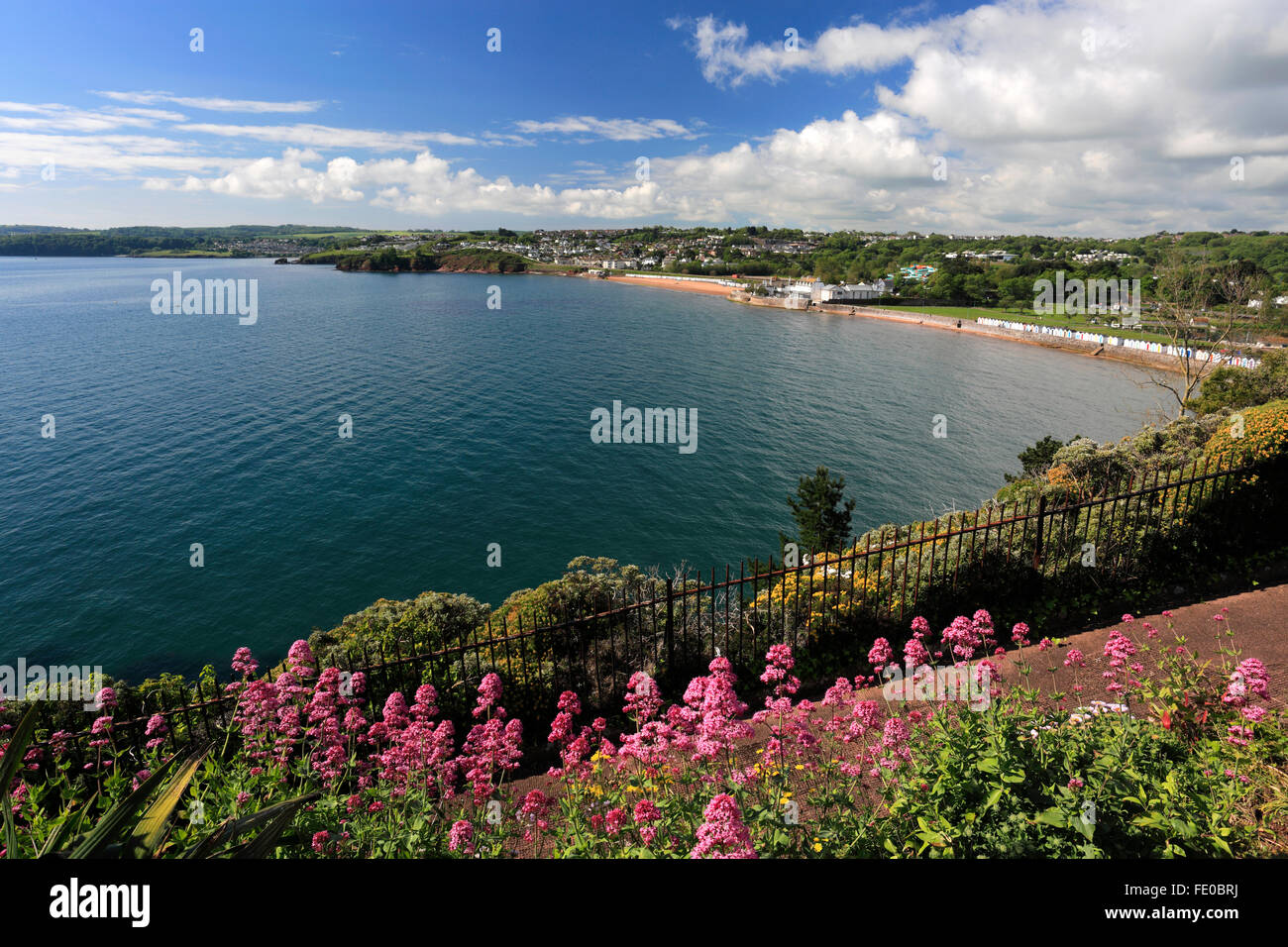 The sweeping Goodrington Sands beach, Torbay, English Riviera, Devon ...