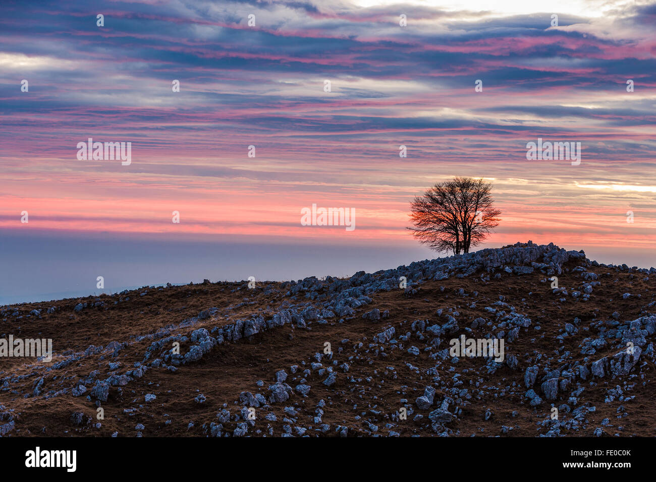 Italy Veneto View from Mount Pizzoc Stock Photo - Alamy
