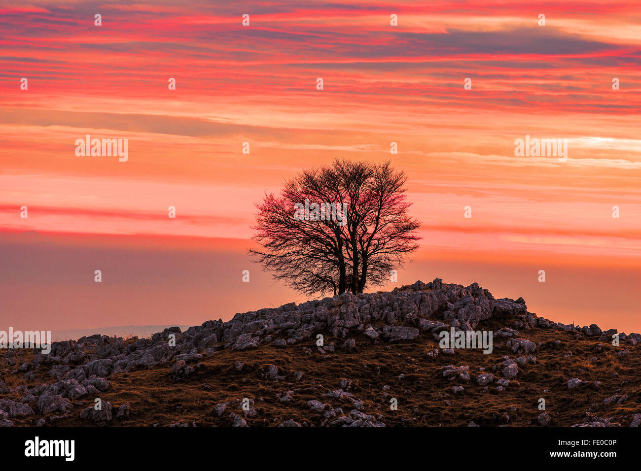 Italy Veneto View from Mount Pizzoc Stock Photo - Alamy