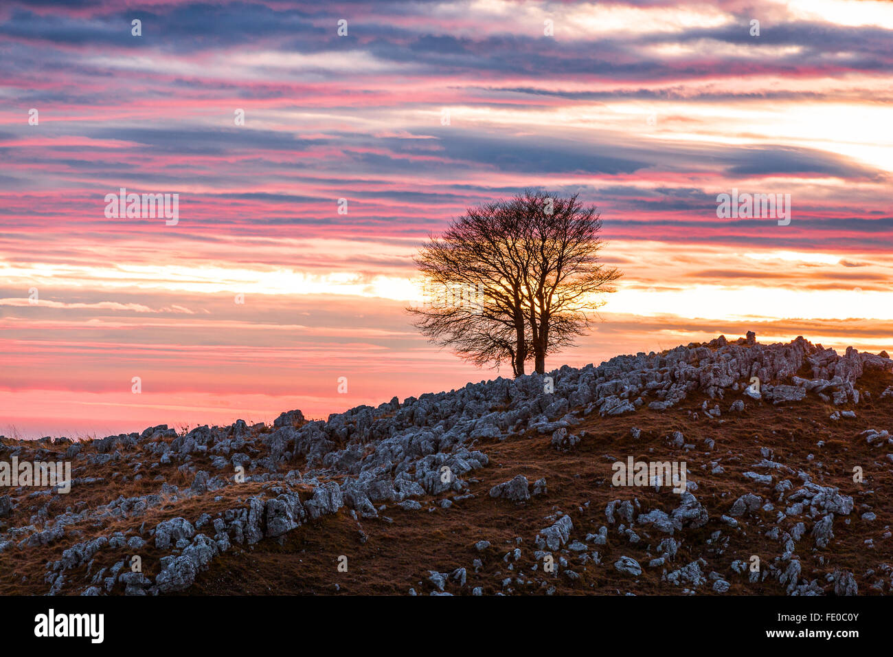 Italy Veneto View from Mount Pizzoc Stock Photo - Alamy