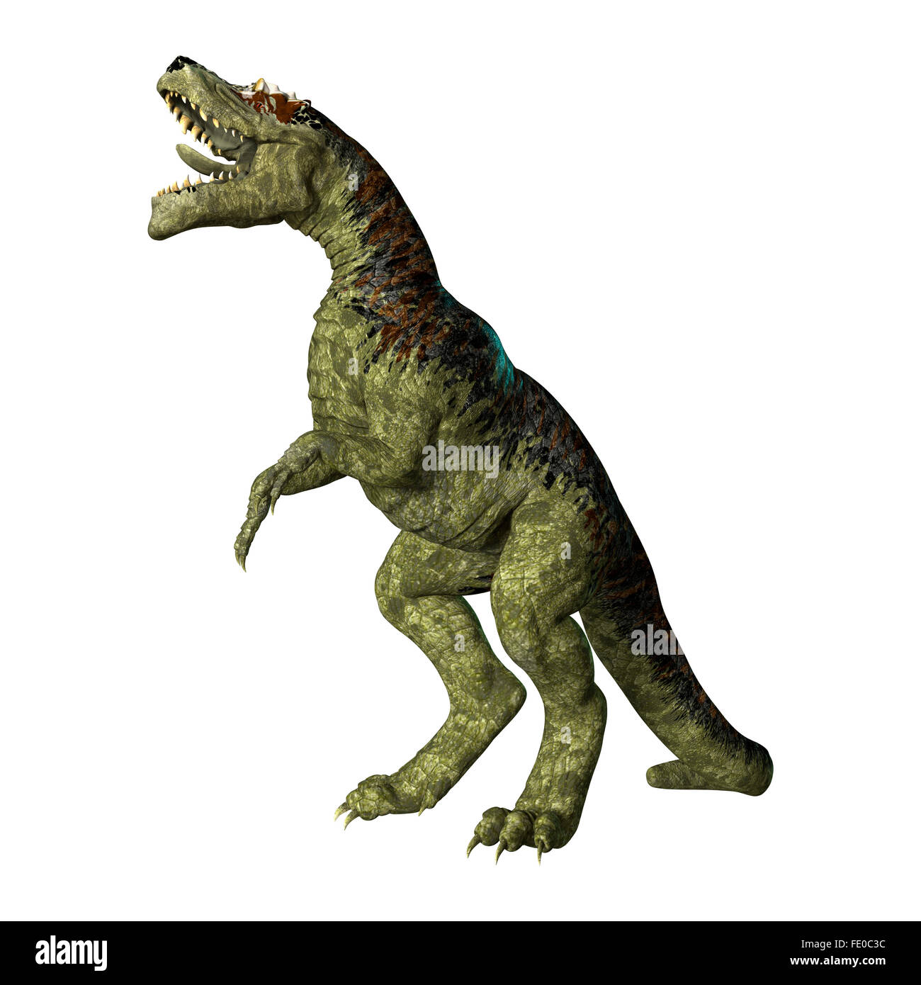 3D digital render of a dinosaur Tyrannosaurus Rex isolated on white ...