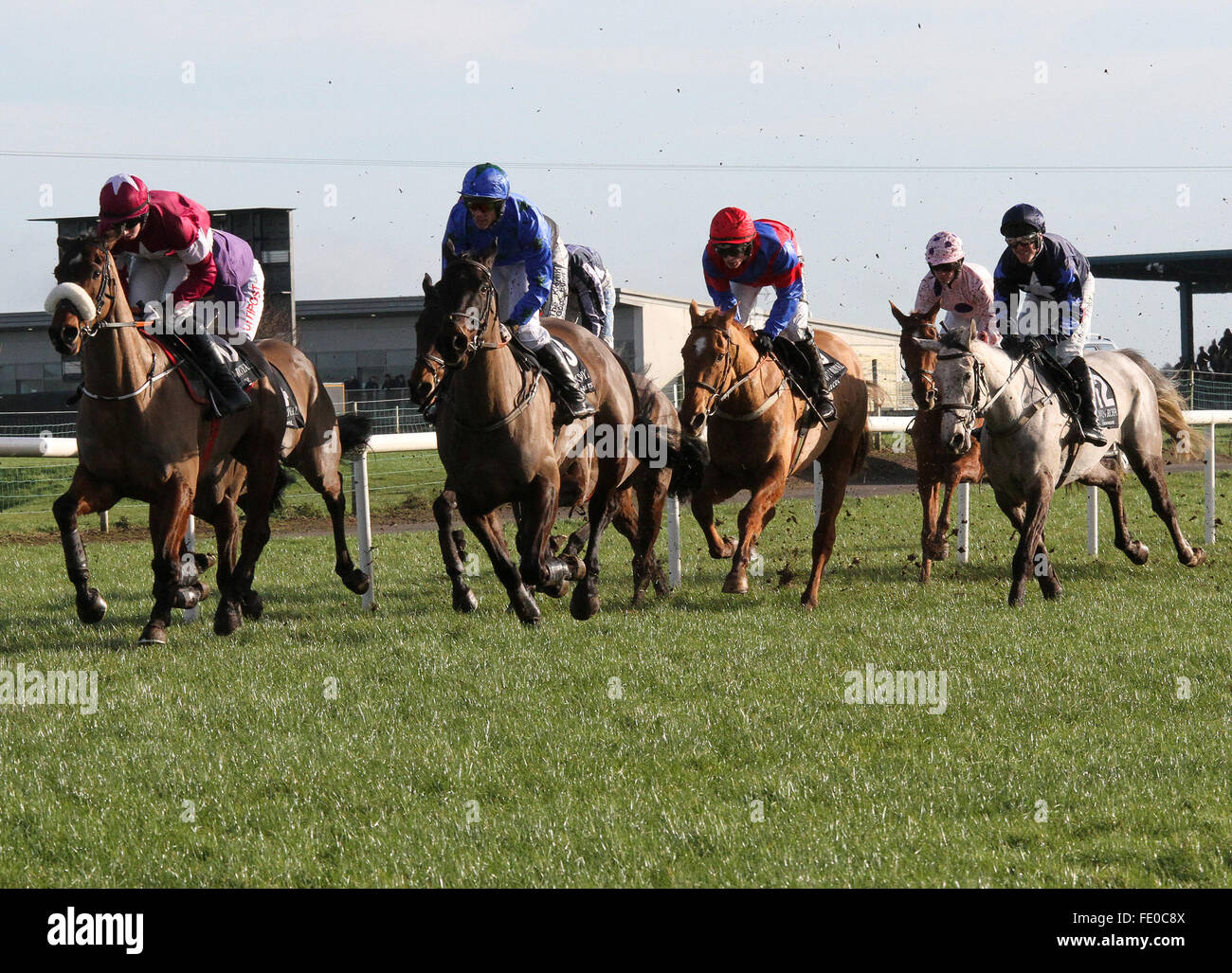 Lisburn, Northern Ireland. 3rd February, 2016. Down Royal Racecourse ...