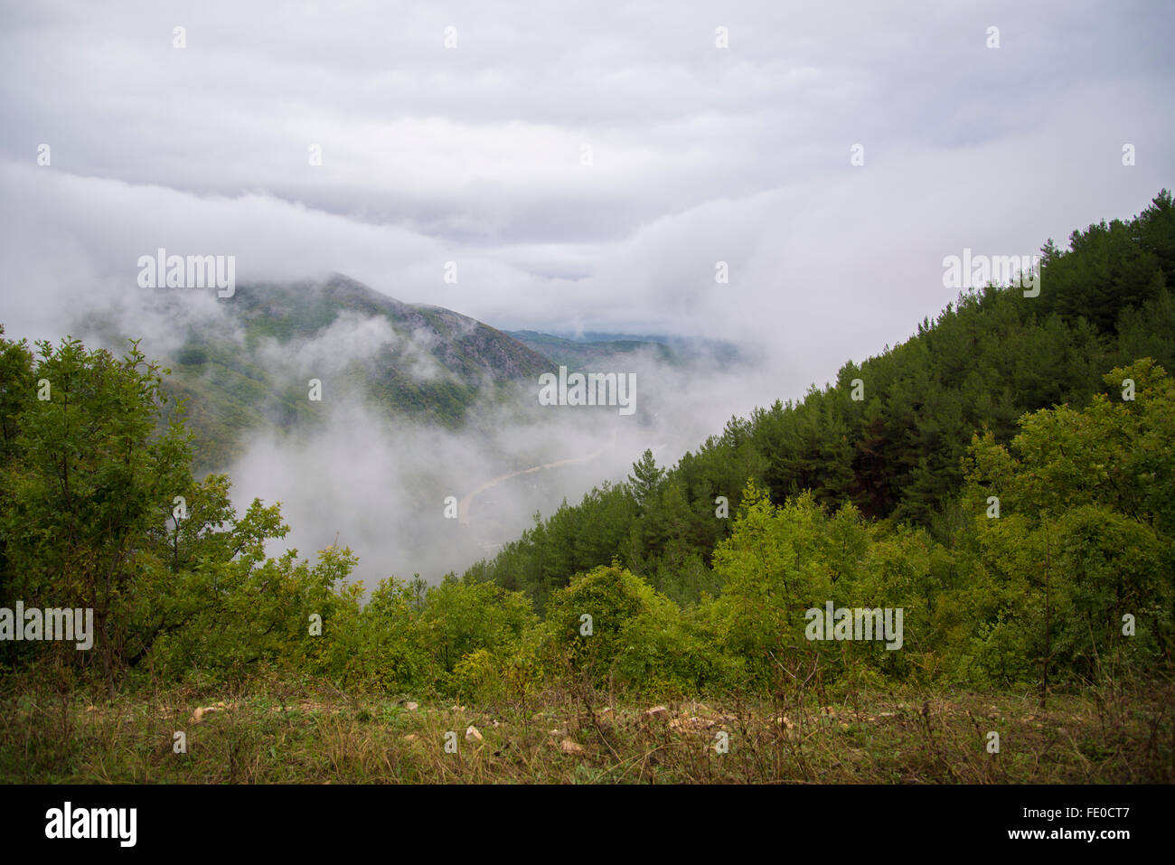 Fall colors in afternoon fog, Xanthi Stock Photo - Alamy