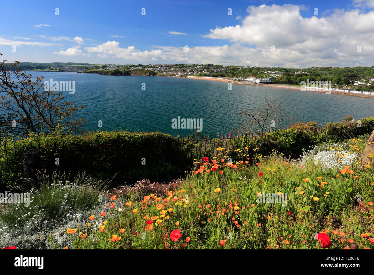 The sweeping Goodrington Sands beach, Torbay, English Riviera, Devon ...