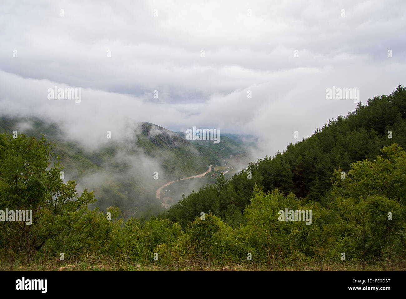 Fall colors in afternoon fog, Xanthi Stock Photo - Alamy